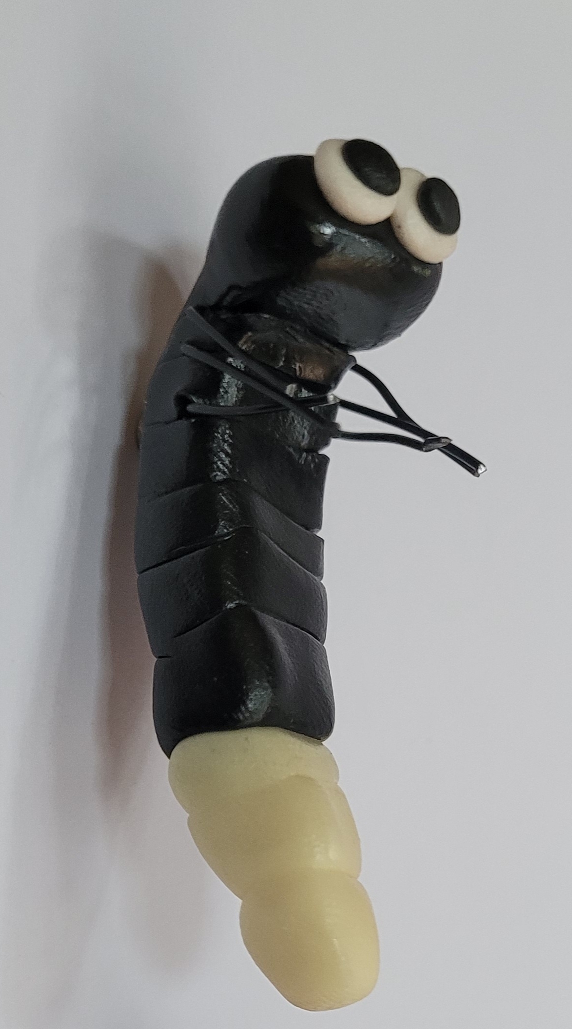 Supporting glow-worms – Scottish Glow worms